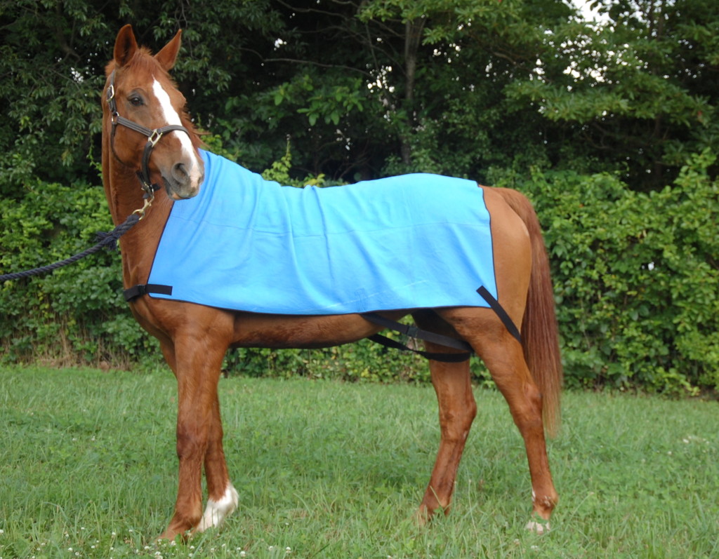 Equi Cool Down – Revolutionary no-hassle instant-cooling products.