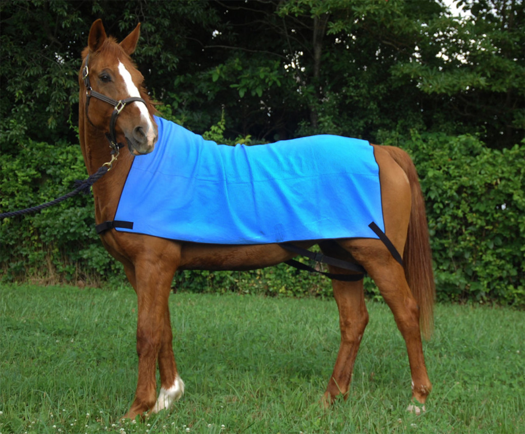 Equine Body Wrap – Equi Cool Down