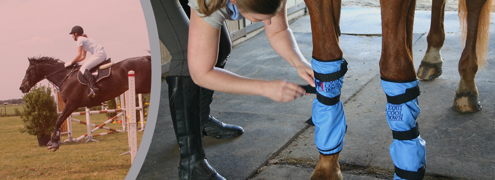 Equi Cool Down | Cooling Products for Horses & Humans