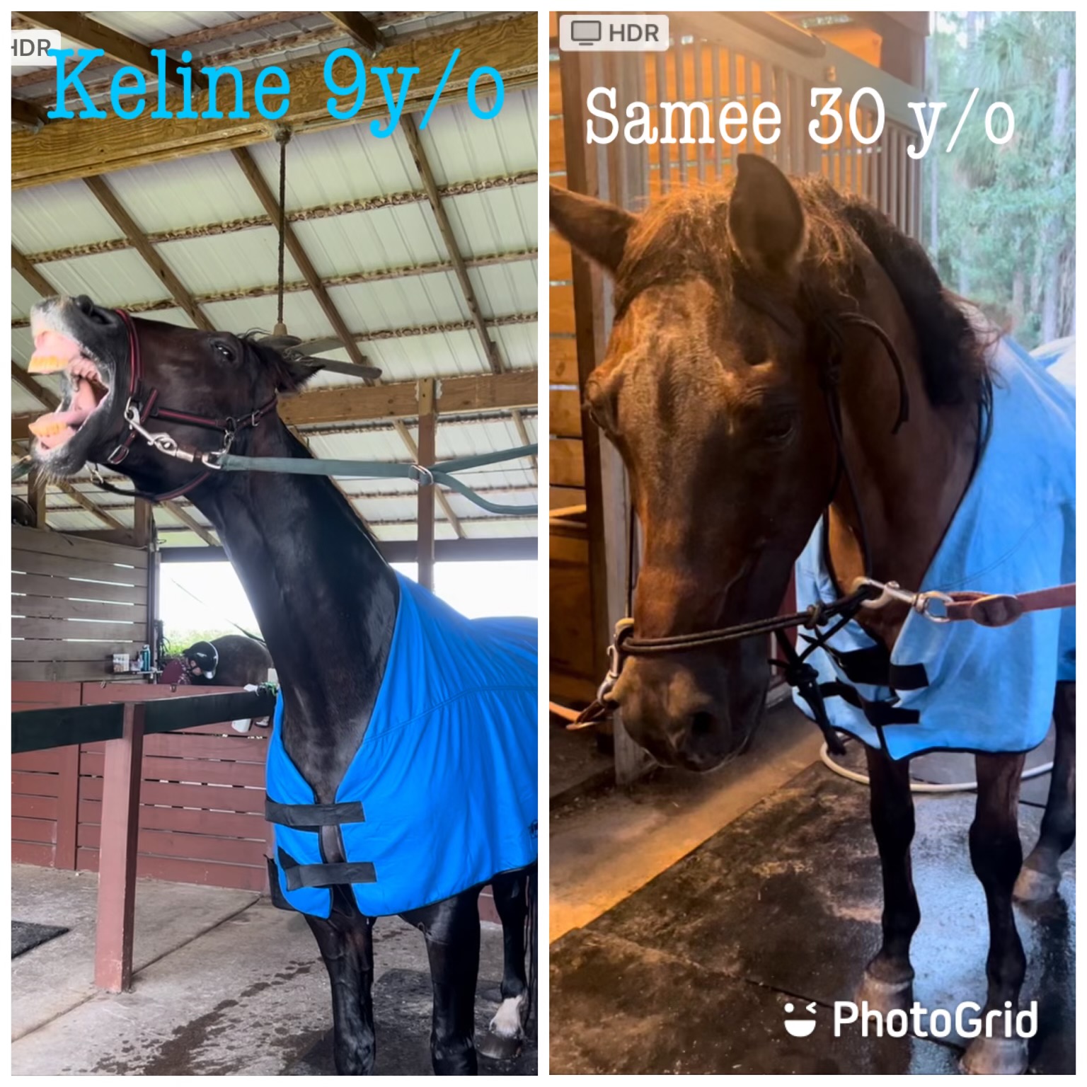 Equi Cool Down – Revolutionary no-hassle instant-cooling products.